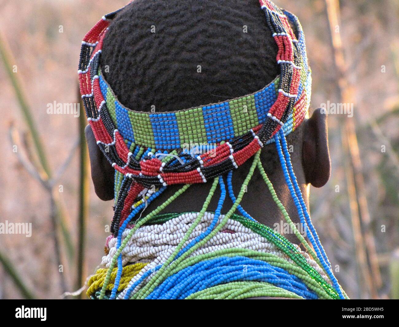The back of a head of a Hadzabe man with traditional beads and ...