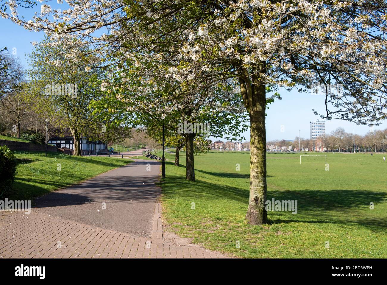 Sunny spring day at Forest Recreation Ground, captured during the Covid ...