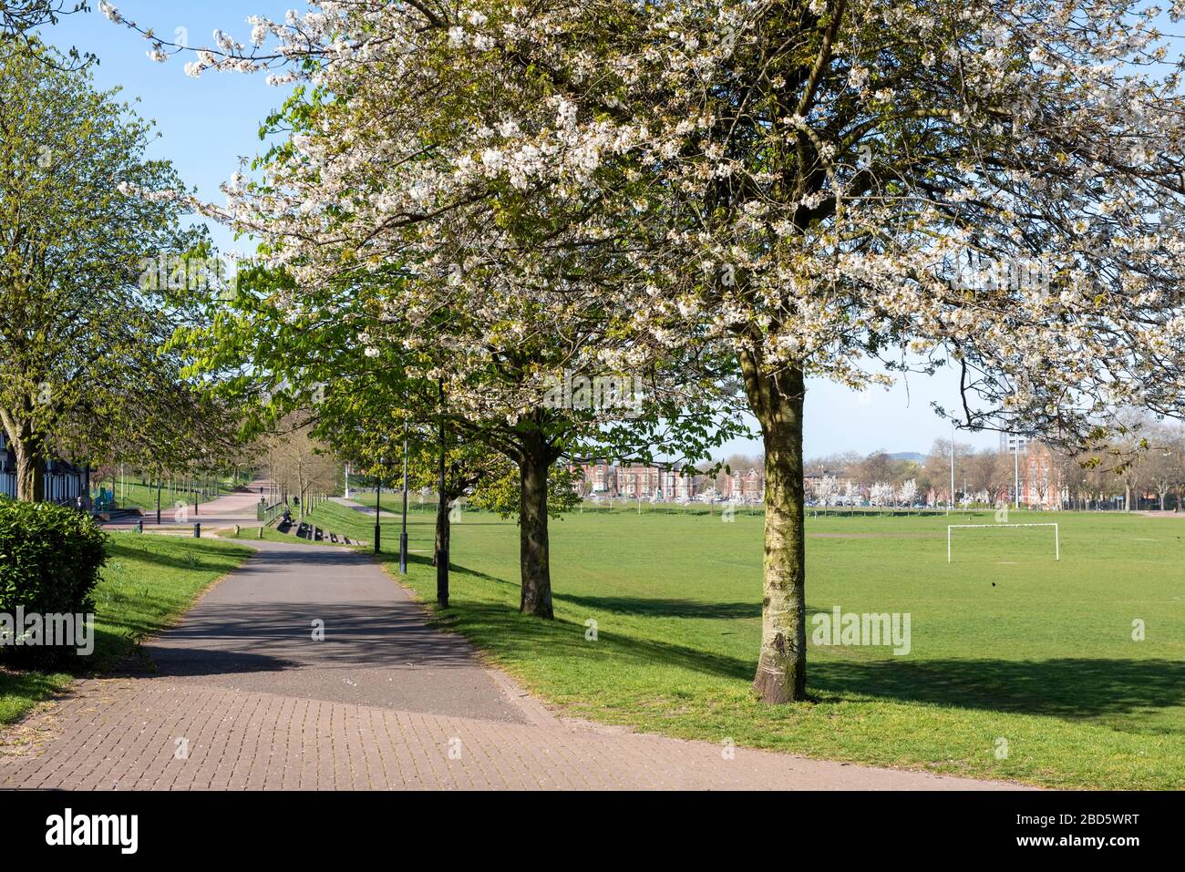Sunny spring day at Forest Recreation Ground, captured during the Covid ...