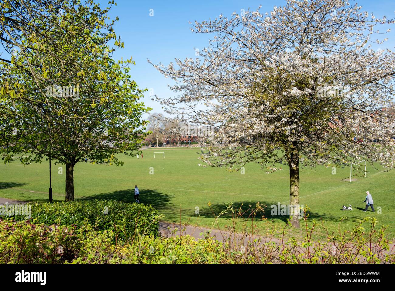 Sunny spring day at Forest Recreation Ground, captured during the Covid ...