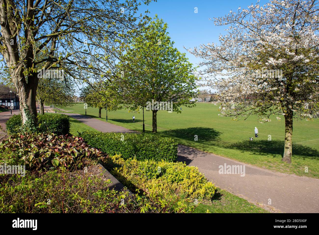Sunny spring day at Forest Recreation Ground, captured during the Covid ...
