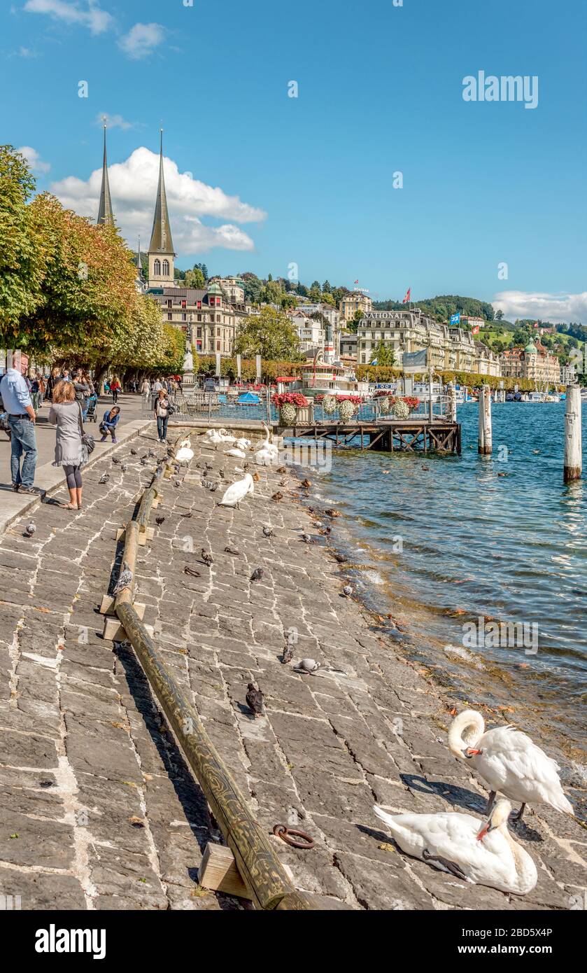 Lakeshore sightseeing hi-res stock photography and images - Alamy