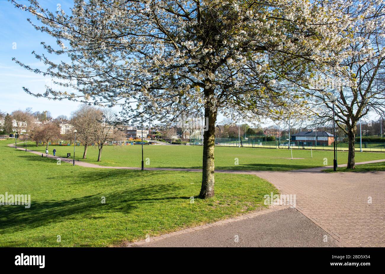 Sunny spring day at Forest Recreation Ground, captured during the Covid ...