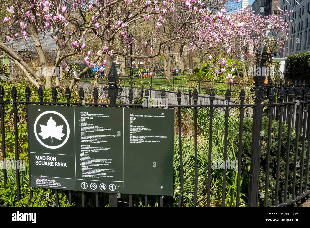 Entrance Sign, Madison Square Park in springtime, NYC Stock Photo - Alamy