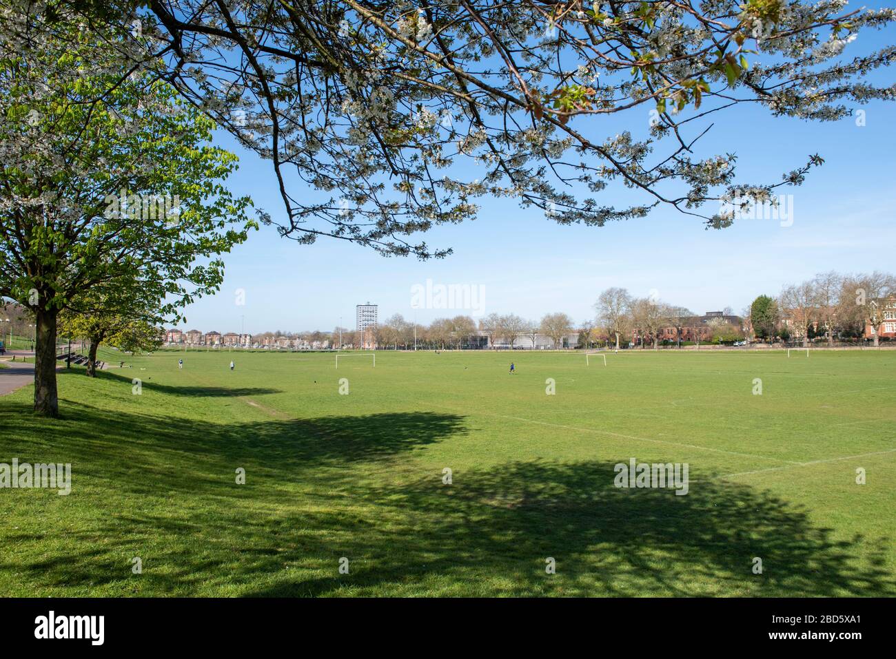 Sunny spring day at Forest Recreation Ground, captured during the Covid ...