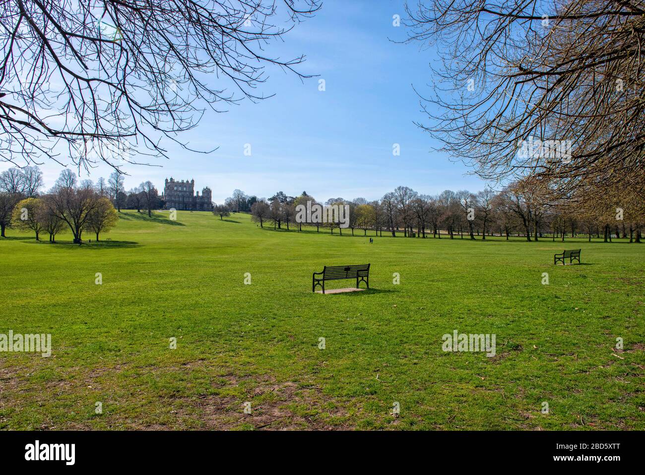 Sunny spring day at Wollaton Park, captured during the Covid-19 ...