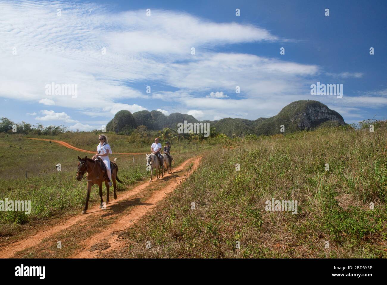 Horseriding tour hi-res stock photography and images - Alamy