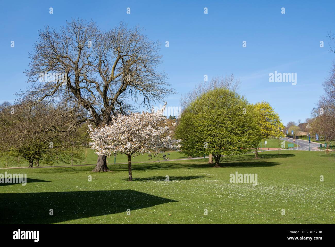 Sunny spring day at Highfields University Park, captured during the ...