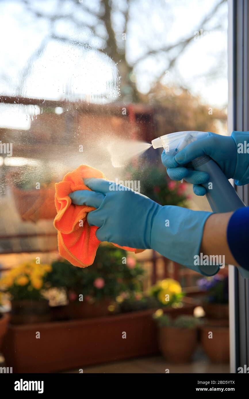 housekeeping: cleaning the windows, Window cleaner using a squeegee ...