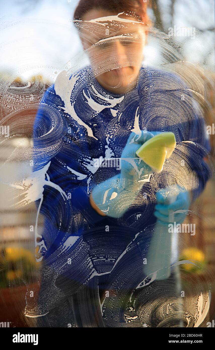 housekeeping: cleaning the windows, Window cleaner using a squeegee ...