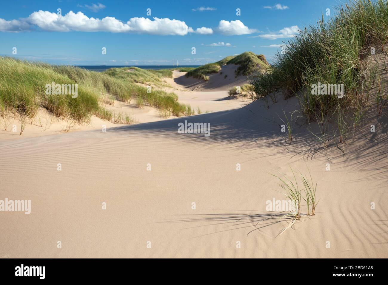 Forvie hi-res stock photography and images - Alamy