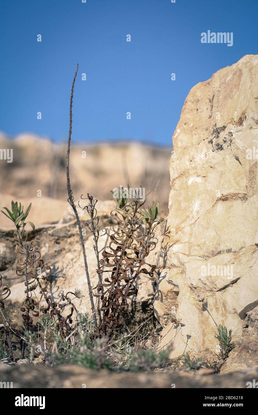 The spring flows into a natural rock pool, and its output (around 1500 ...
