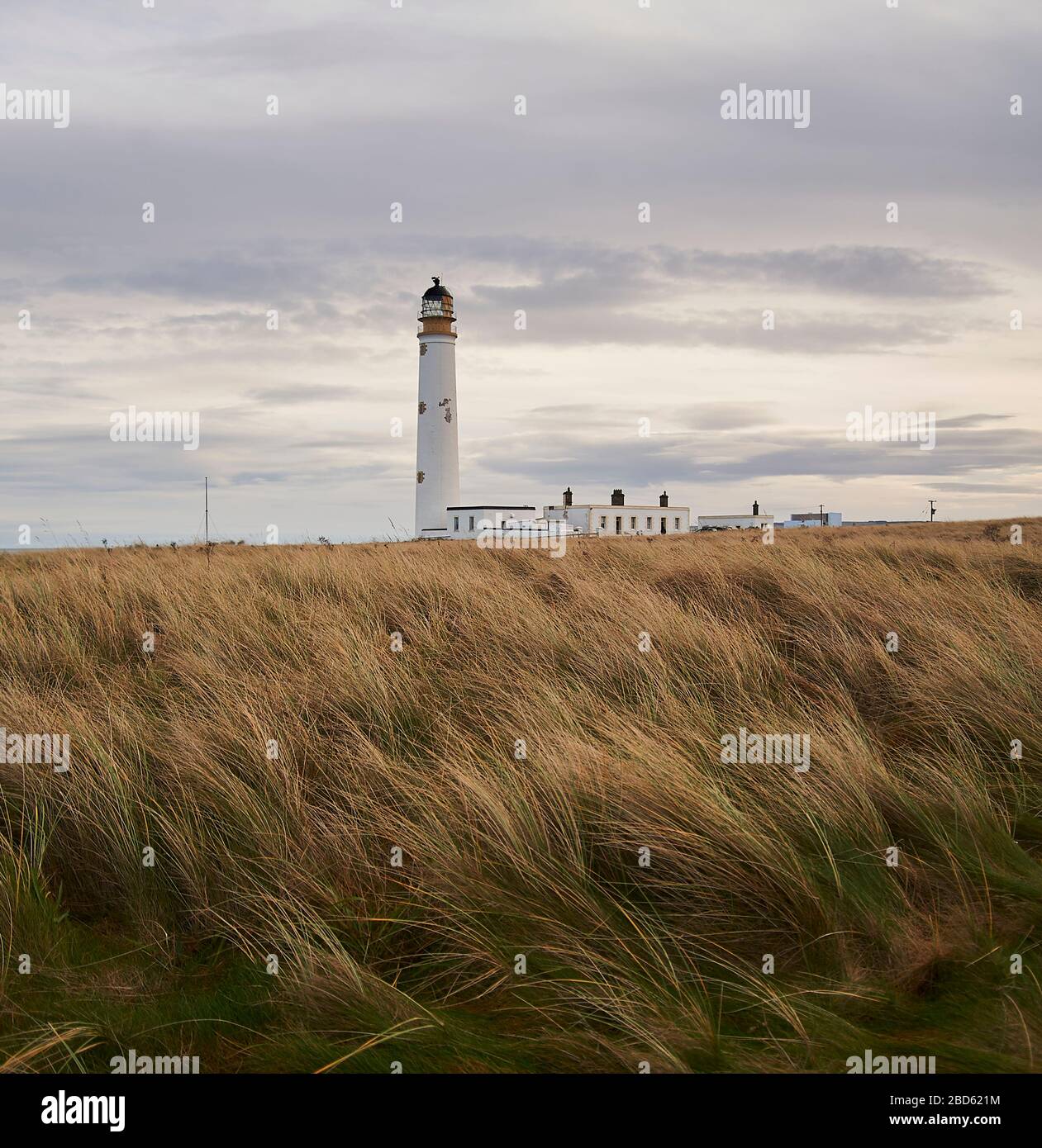 Dunbar scotland lighthouse hi-res stock photography and images - Alamy