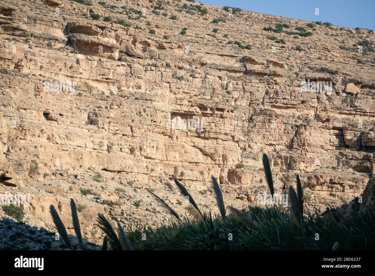 The spring flows into a natural rock pool, and its output (around 1500 ...