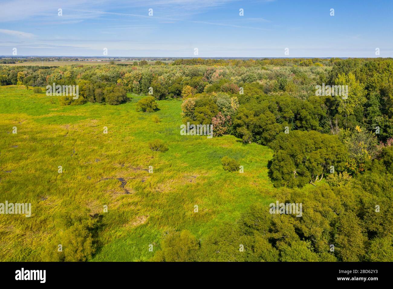 Aerial view of a dried-up marsh near a small woodland along the St ...
