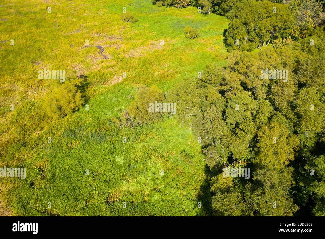 Aerial view of a dried-up marsh near a small woodland along the St ...