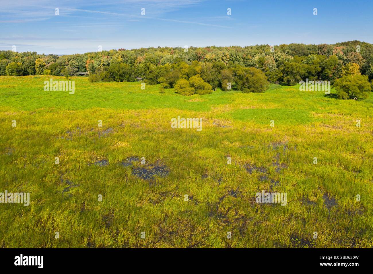 Aerial view of a dried-up marsh near a small woodland along the St ...
