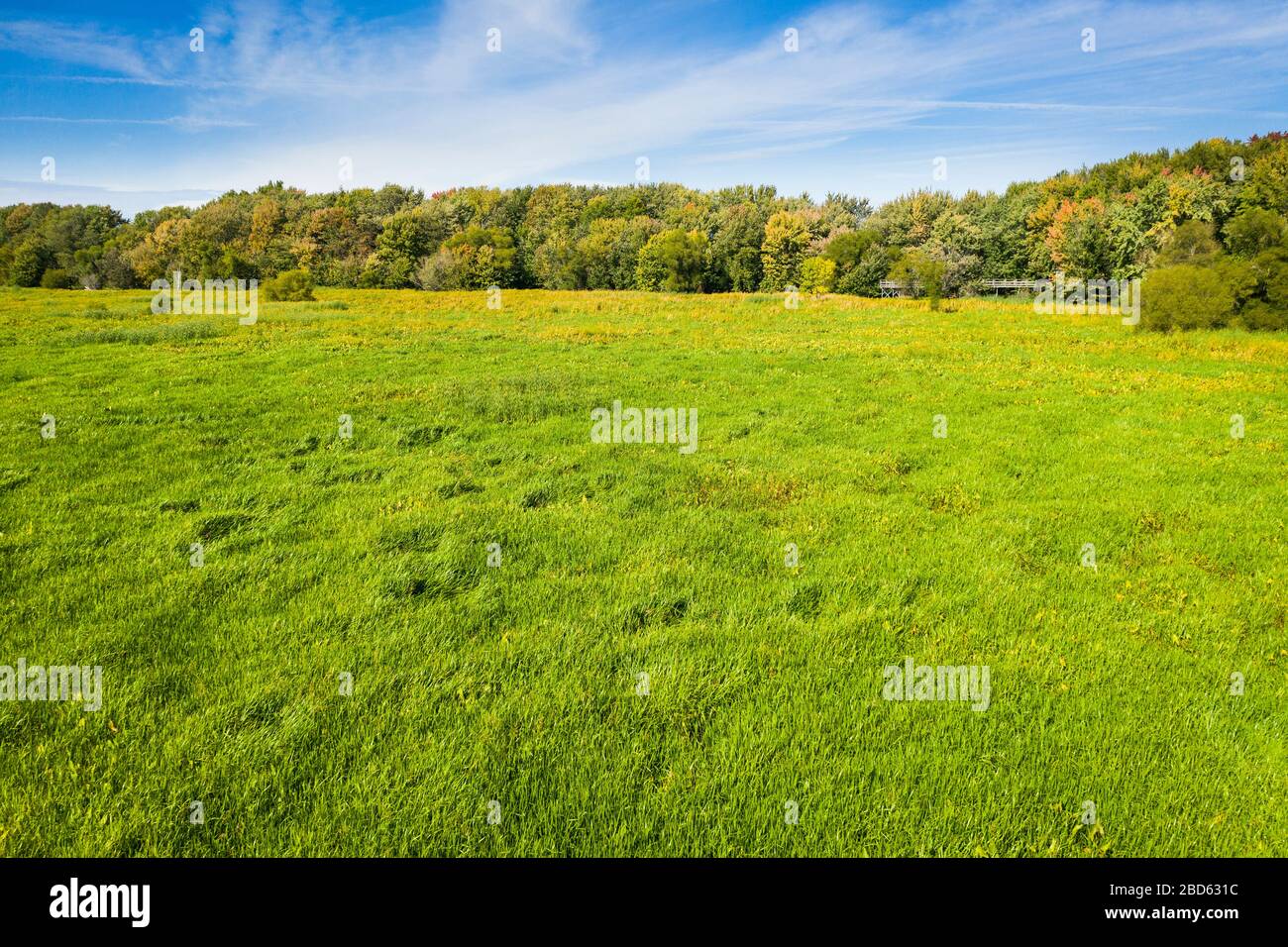 Aerial view of a dried-up marsh near a small woodland along the St ...
