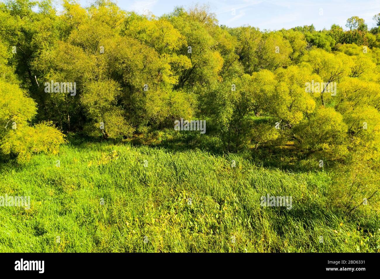Wetlands aerial view hi-res stock photography and images - Alamy