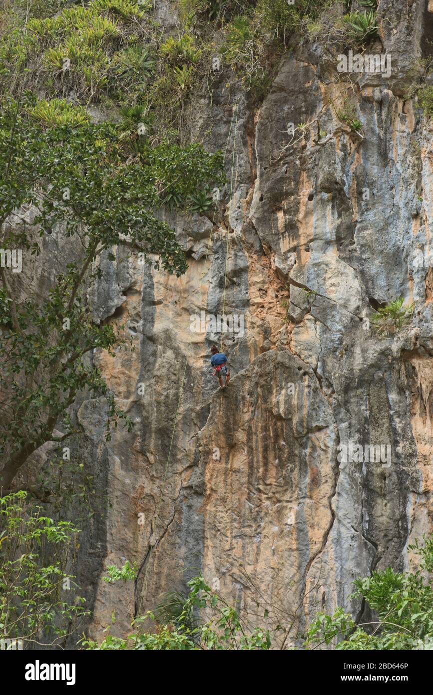 Rock climbing in the Viñales Valley, Cuba Stock Photo - Alamy