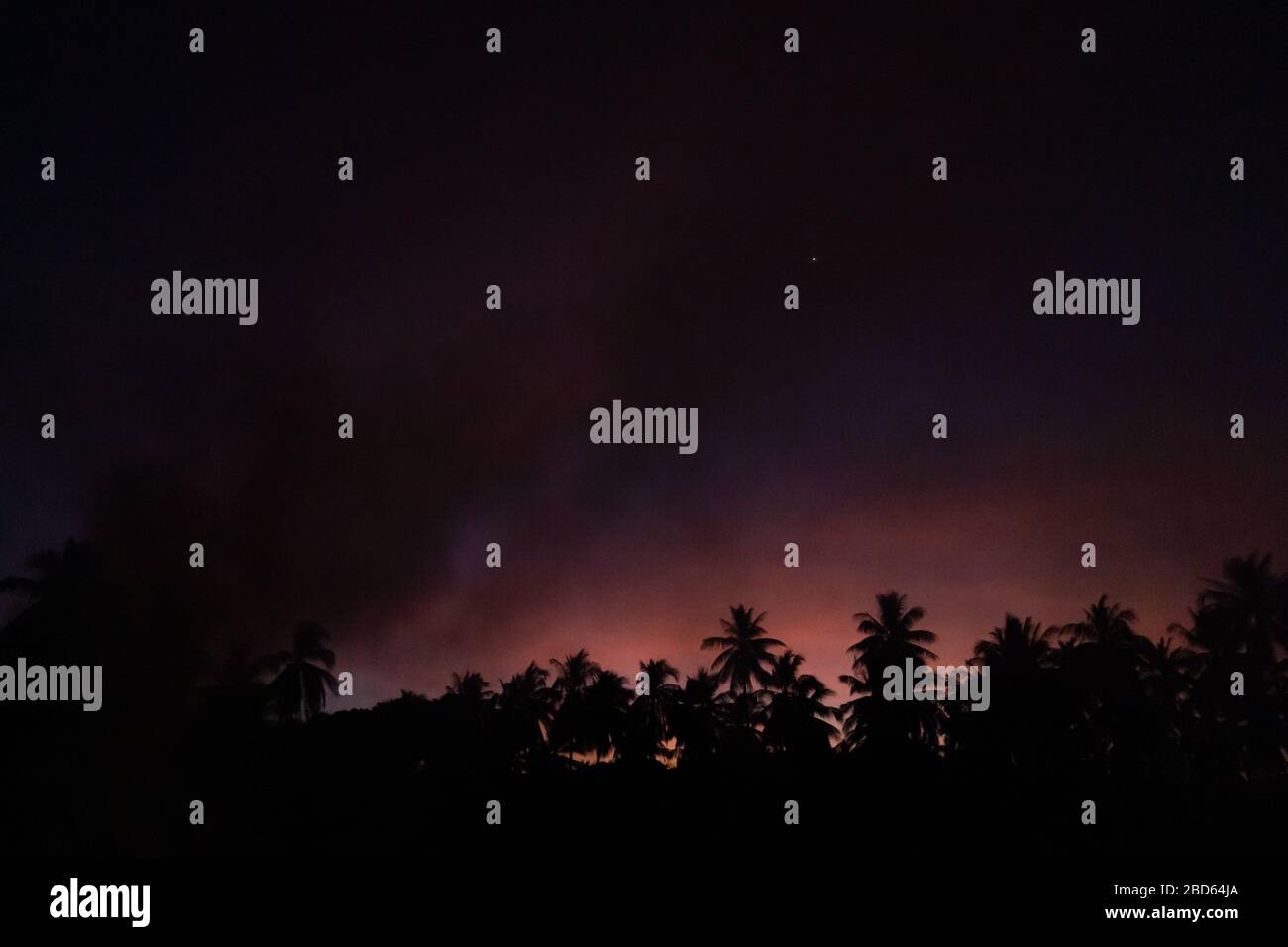 Smoke from a bonfire in a rainforest at sunset. Fires in the forest ...