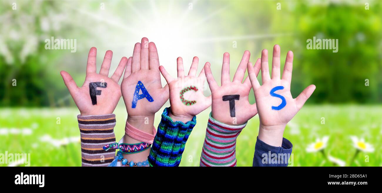 Facts for kids hi-res stock photography and images - Alamy
