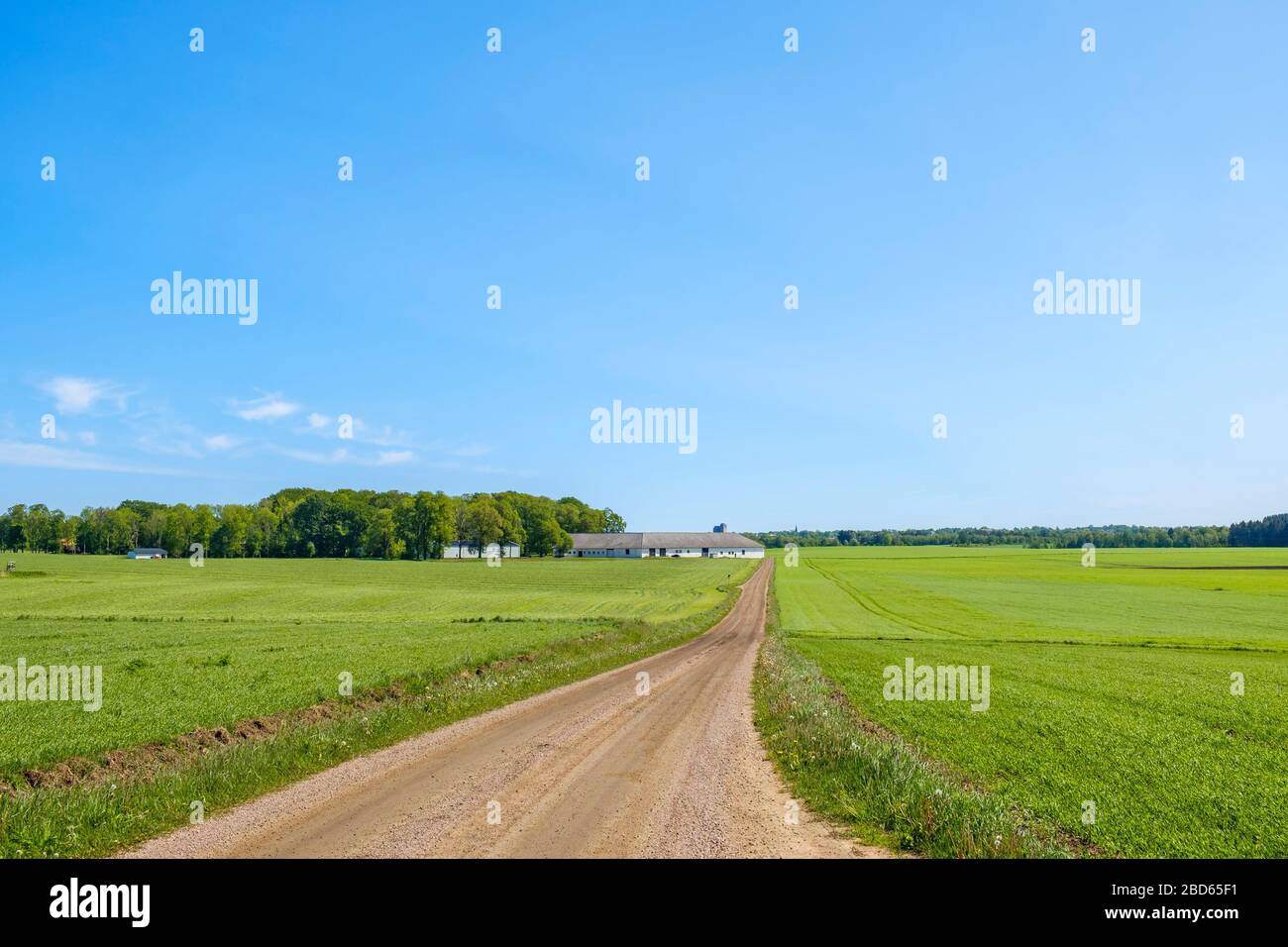 Long straight dirt road in a rural landscape with a farm Stock Photo ...