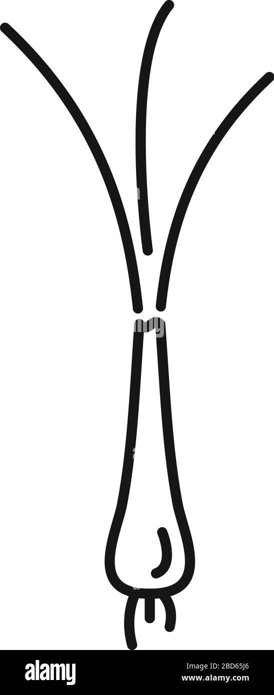 Spring onion icon. Outline spring onion vector icon for web design ...