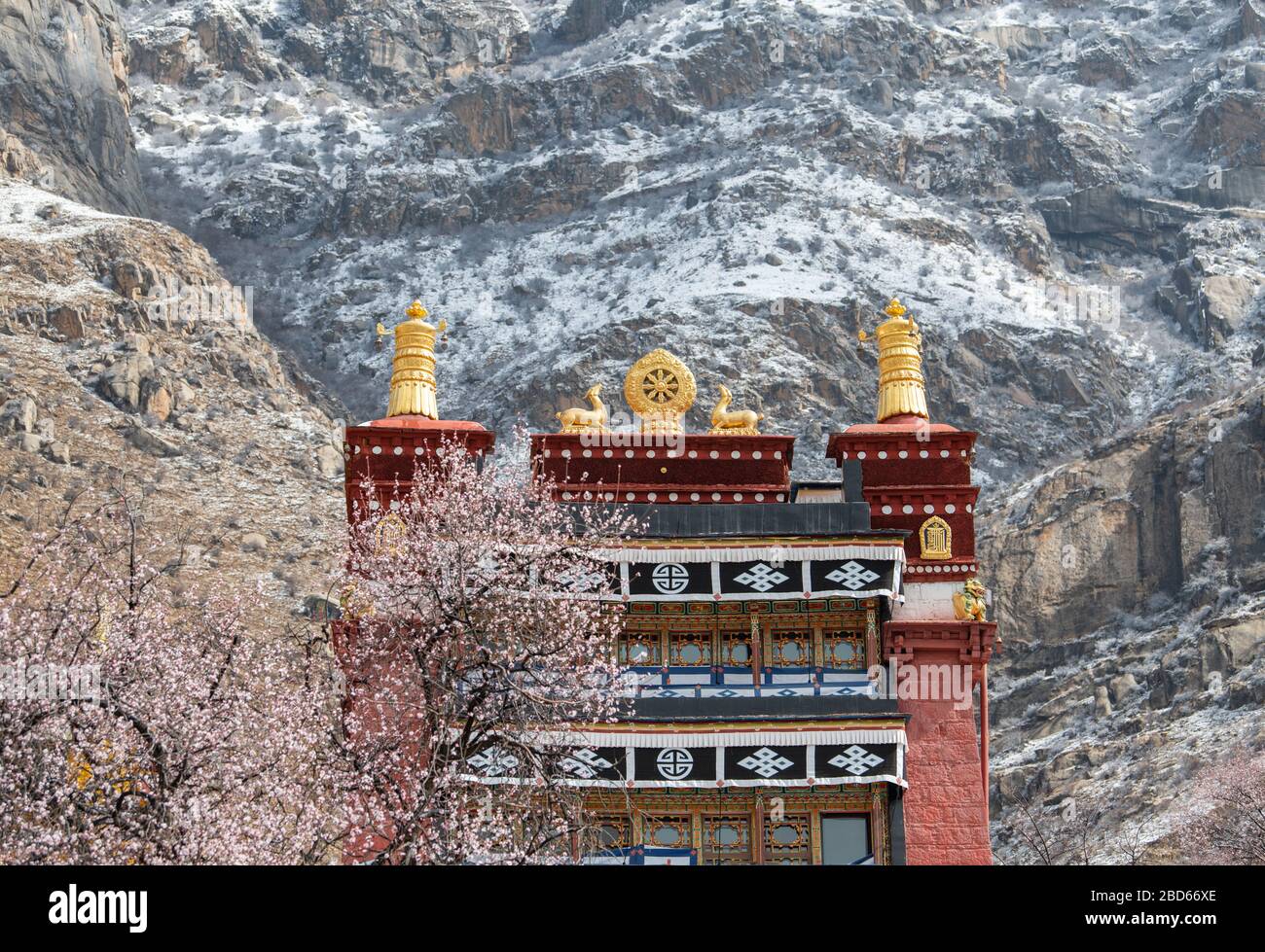 Lhasa, China's Tibet Autonomous Region. 7th Apr, 2020. An ancient ...