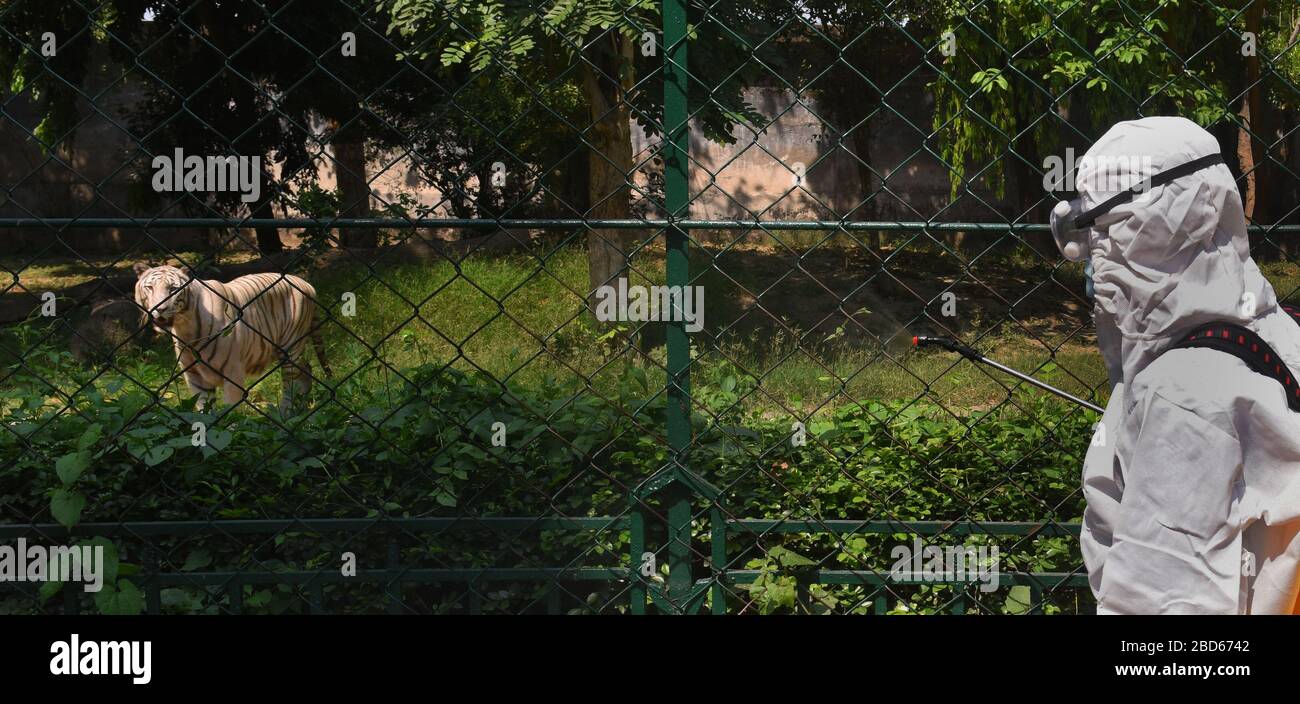 Zoo worker hi-res stock photography and images - Alamy