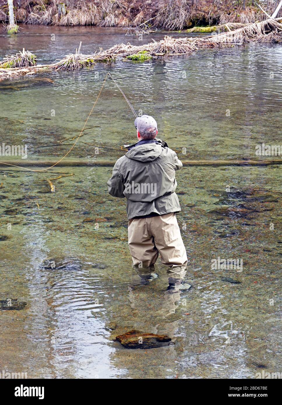 Rising trout hi-res stock photography and images - Alamy