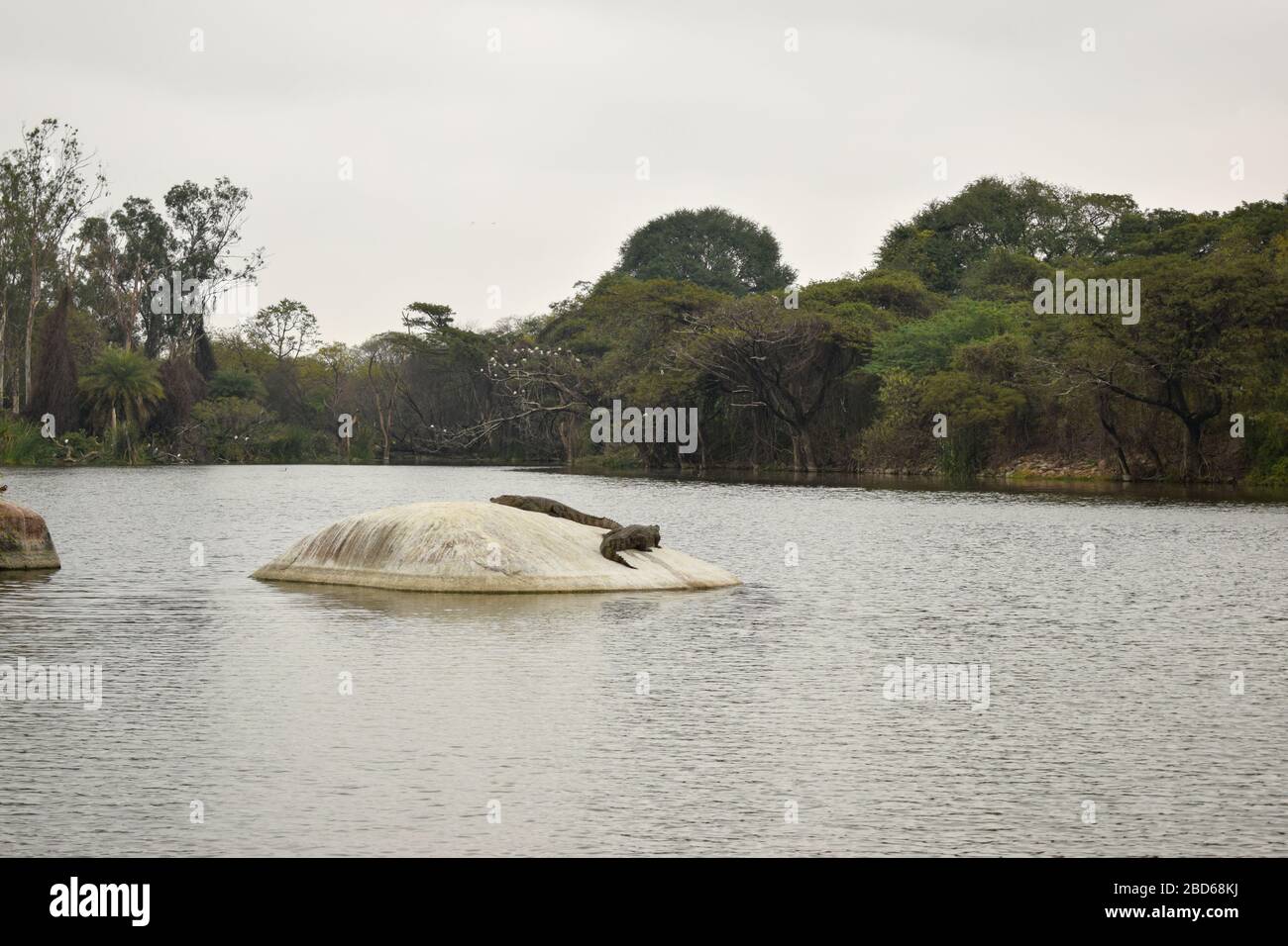 Green water lake hi-res stock photography and images - Alamy