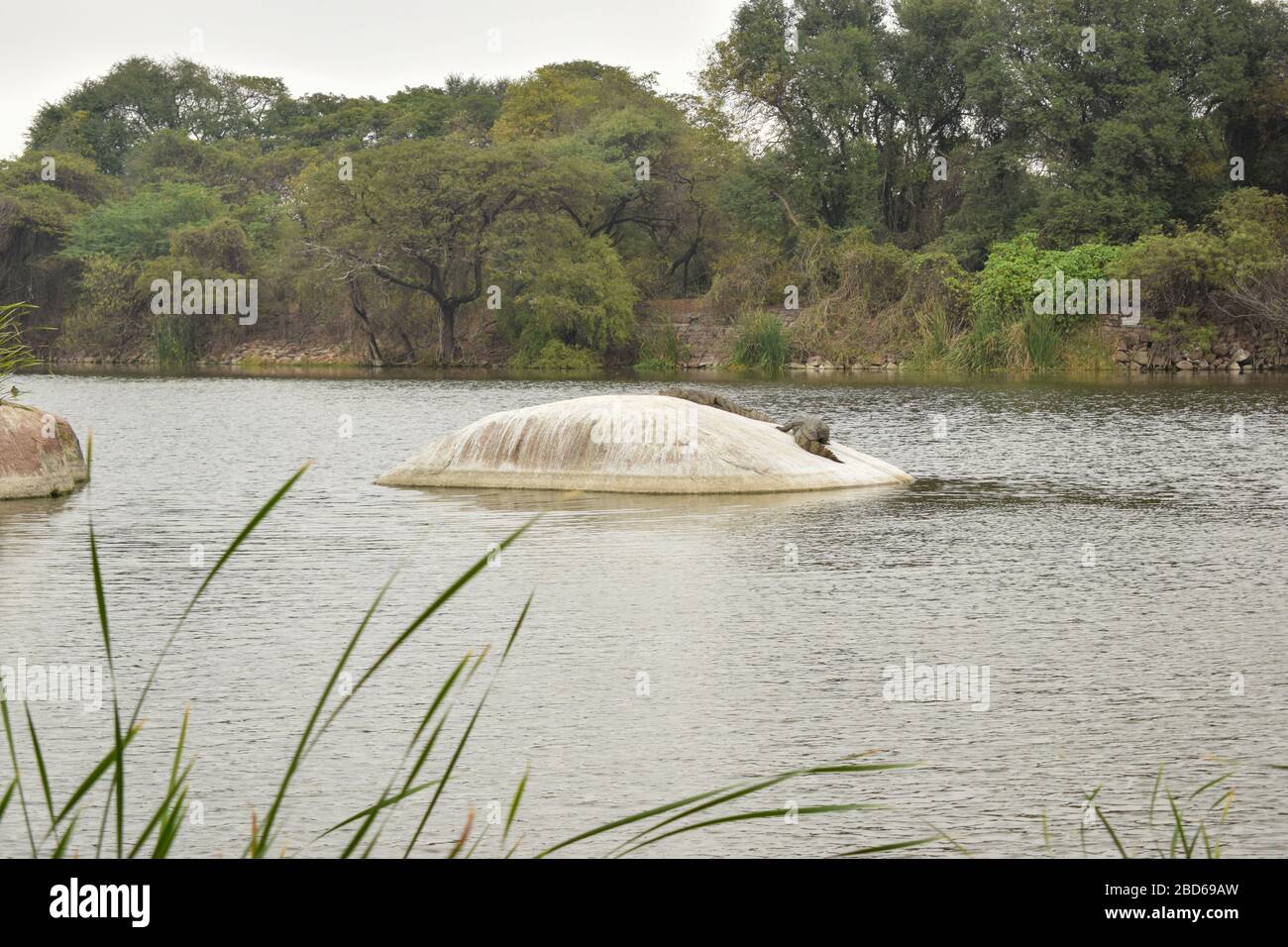 Soft water lake hi-res stock photography and images - Alamy