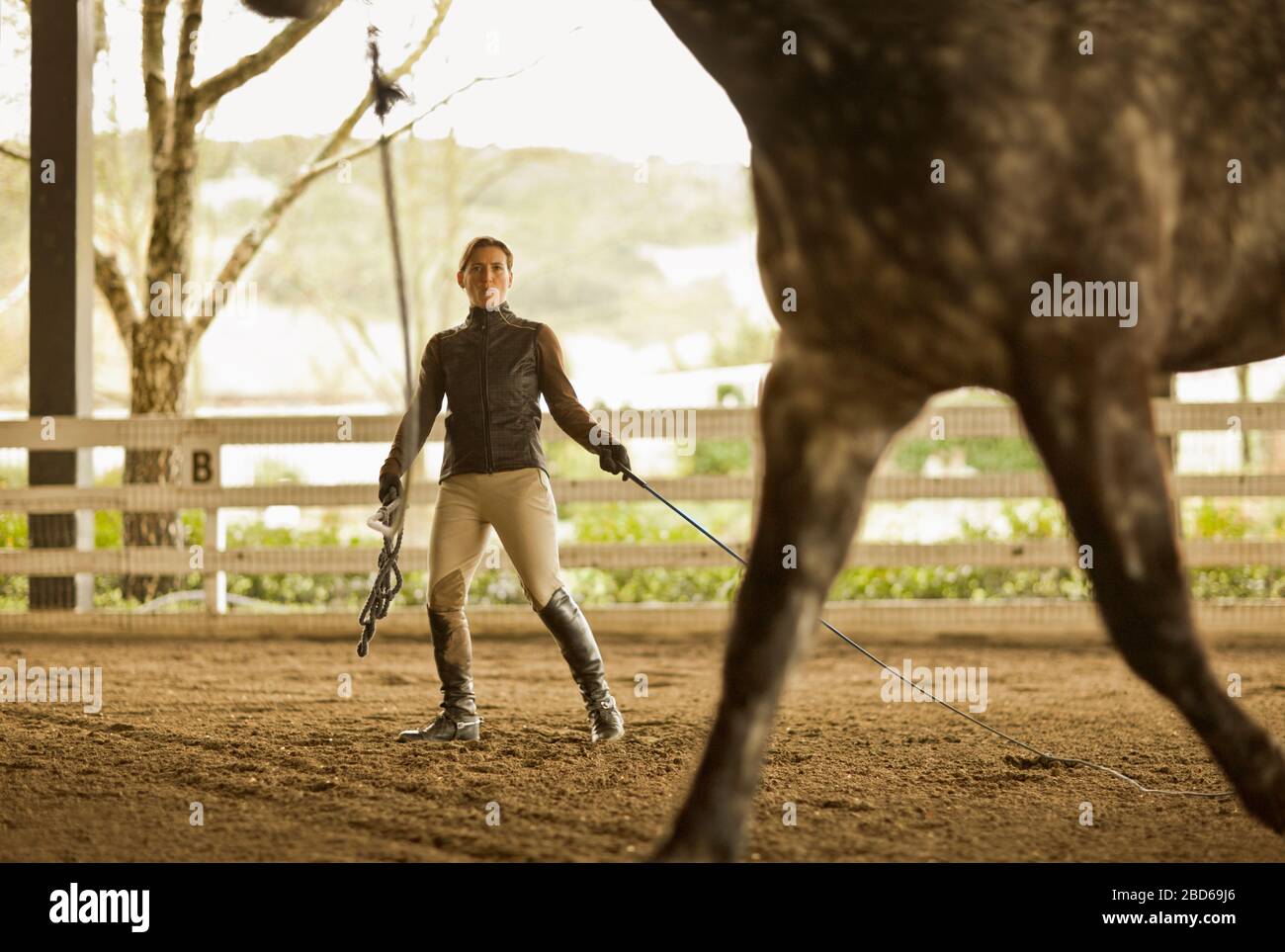 Woman holding riding crop hi-res stock photography and images - Alamy
