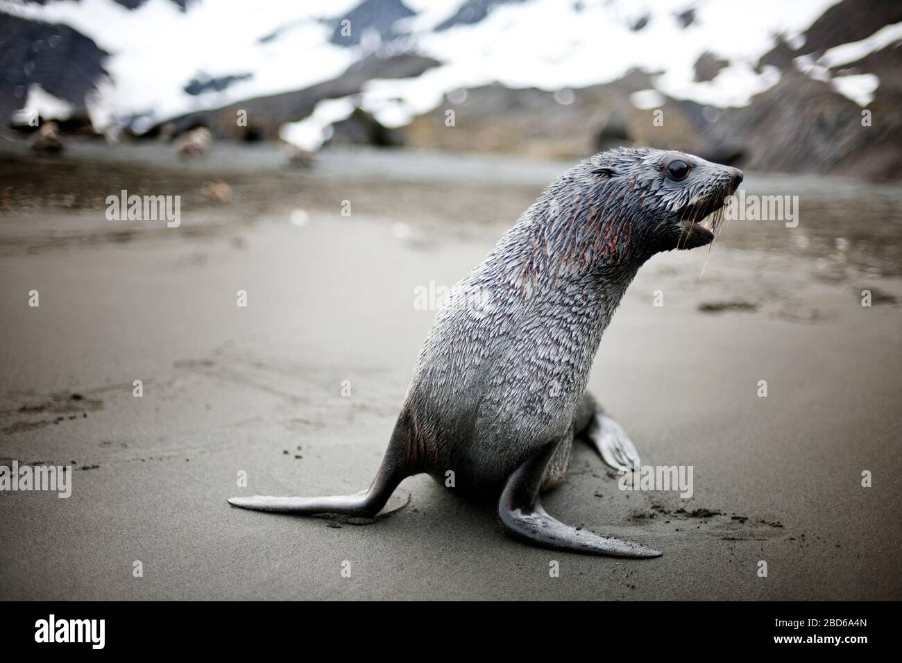Negative seal hi-res stock photography and images - Alamy
