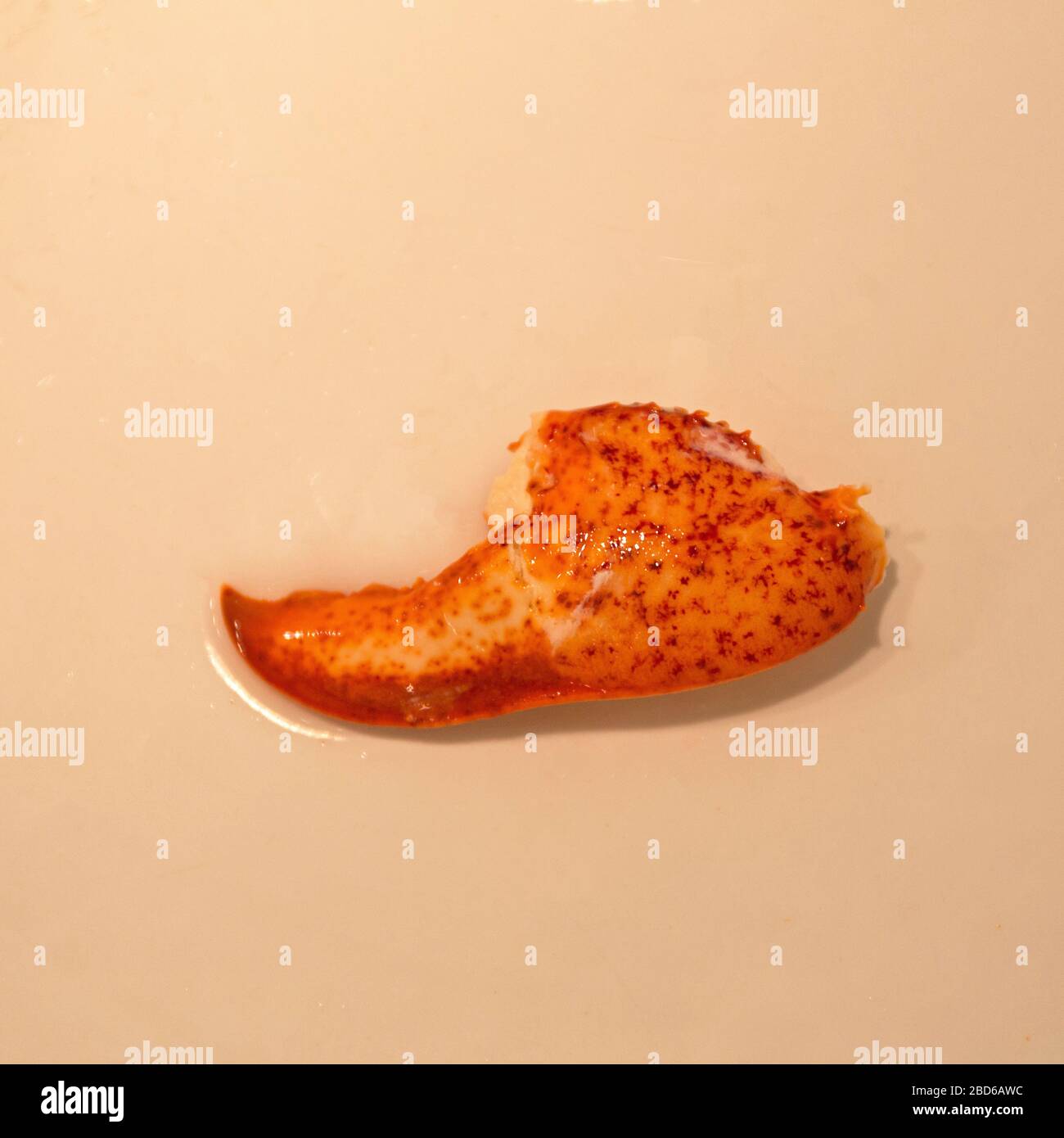 One Big Orange Lobster Claw Steam Cooked Stock Photo - Alamy