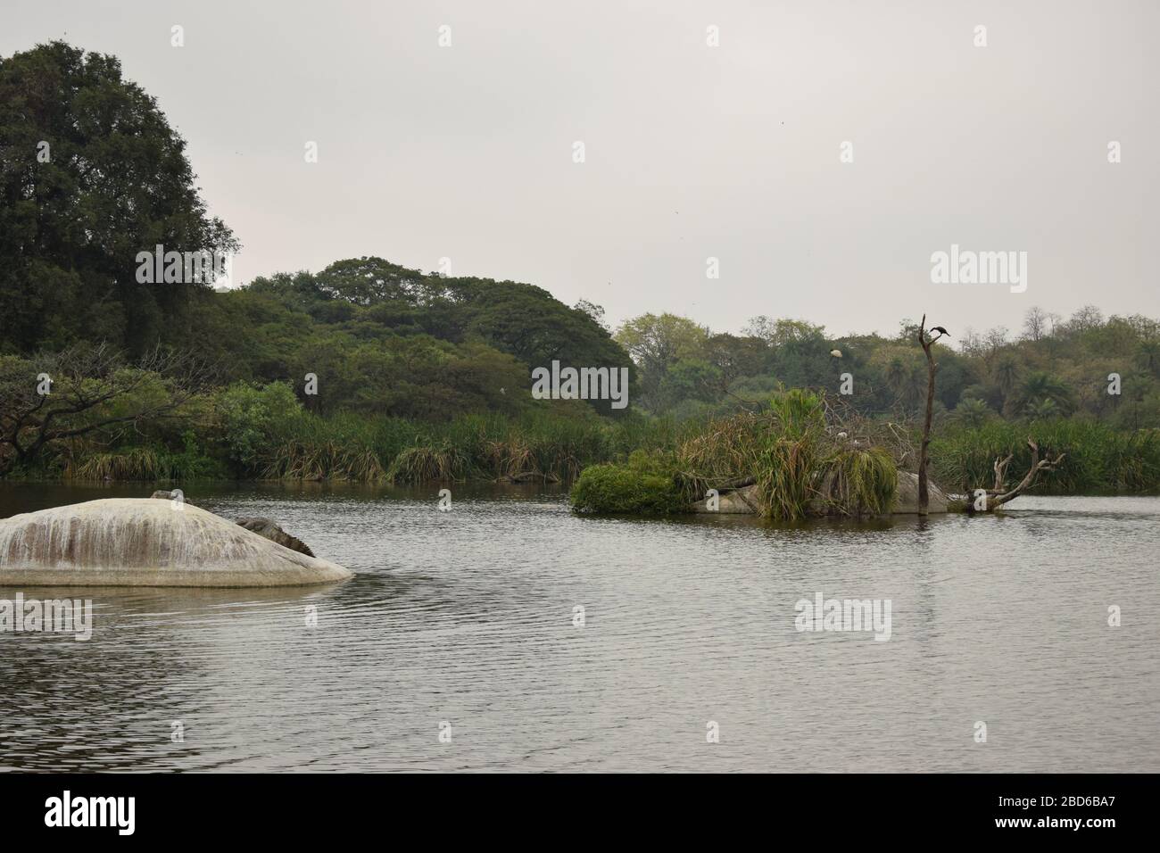 Small Sweet Water Lake Landscape Background Stock Photo - Alamy