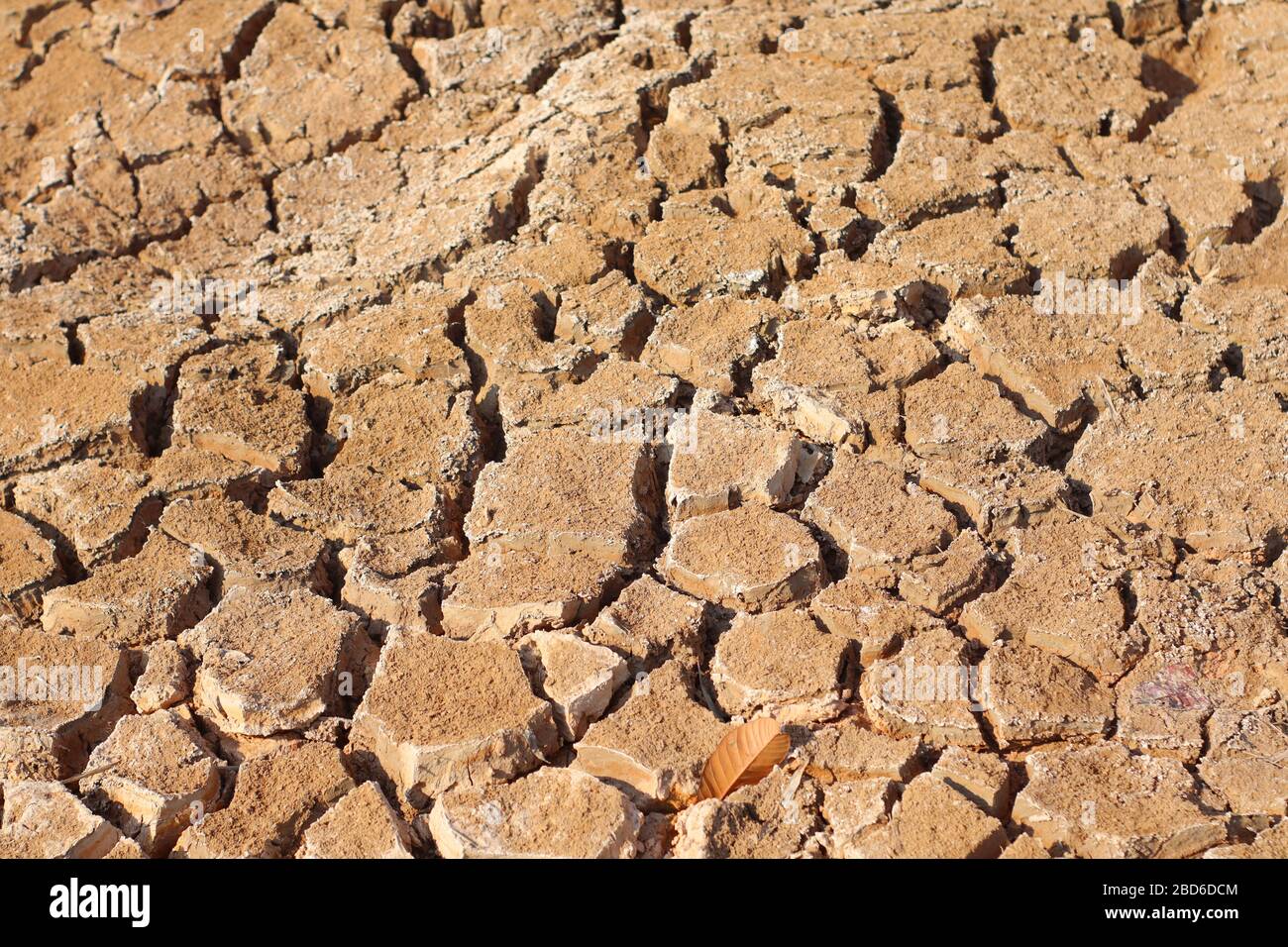 cracked soil textured background Stock Photo - Alamy