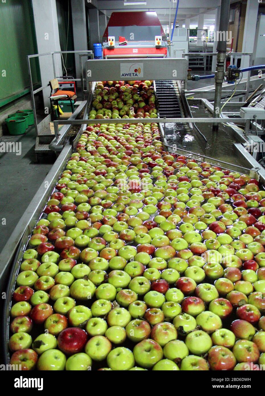 Fruit processing hi-res stock photography and images - Alamy