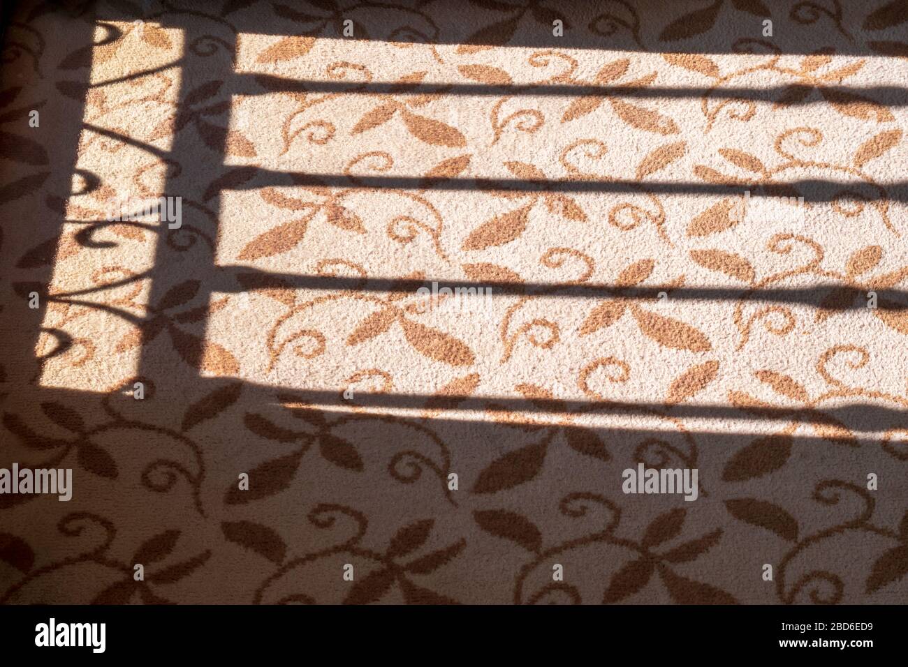 Carpet sunlight hi-res stock photography and images - Alamy