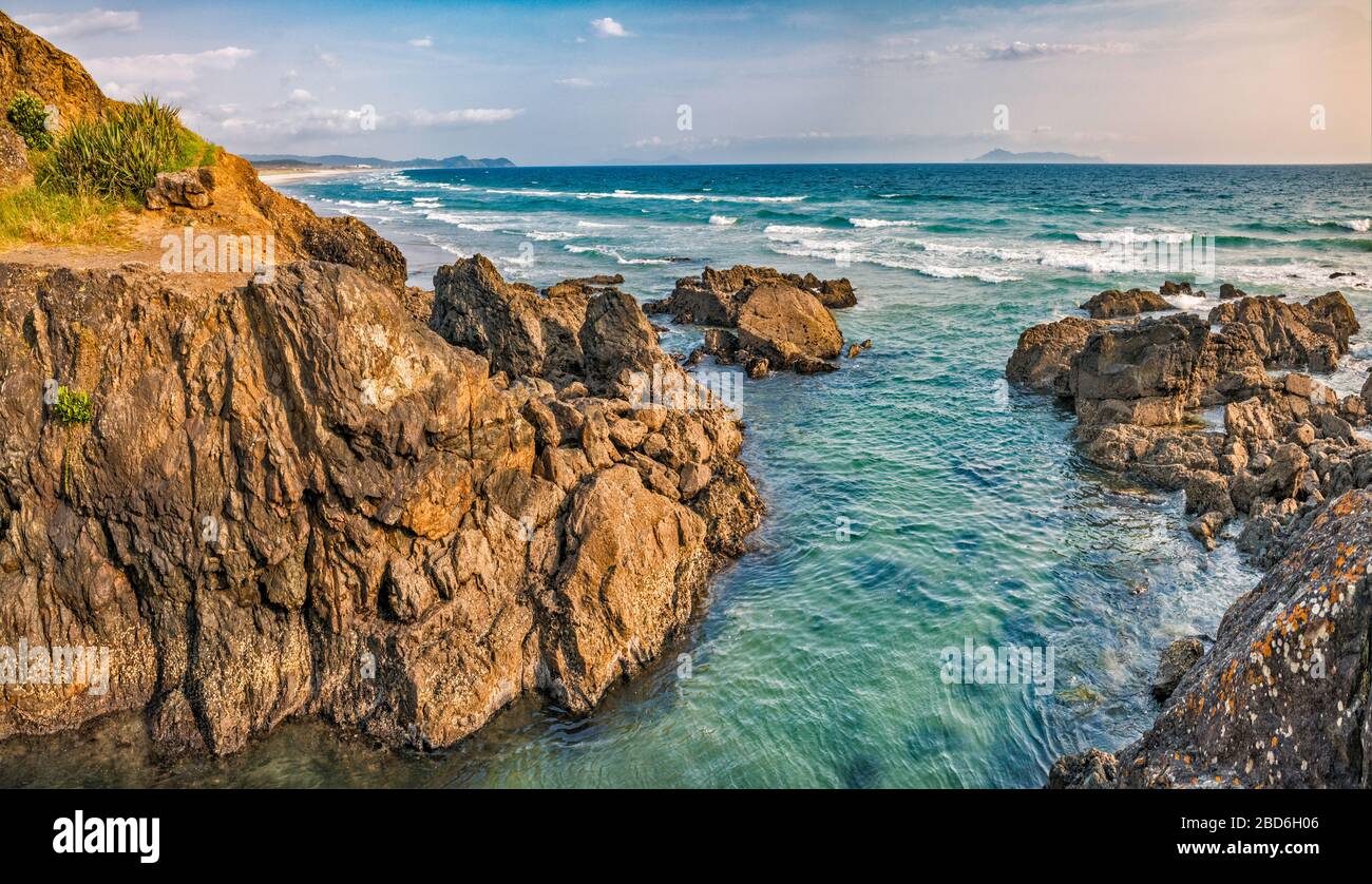Cliffs at Te Arai Point at sunrise, Auckland Region, North Island, New ...