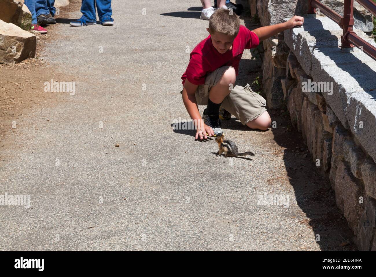 Custer National Forest, Montana, USA - July 13, 2014: A boy bending ...