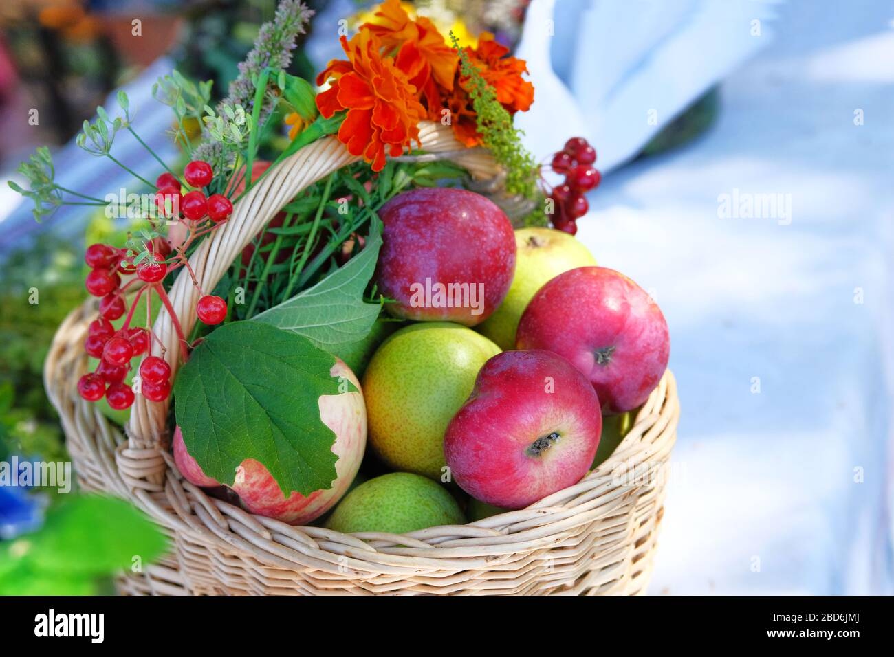 Organic fresh and colorful apples in basket. Display at local farmers ...