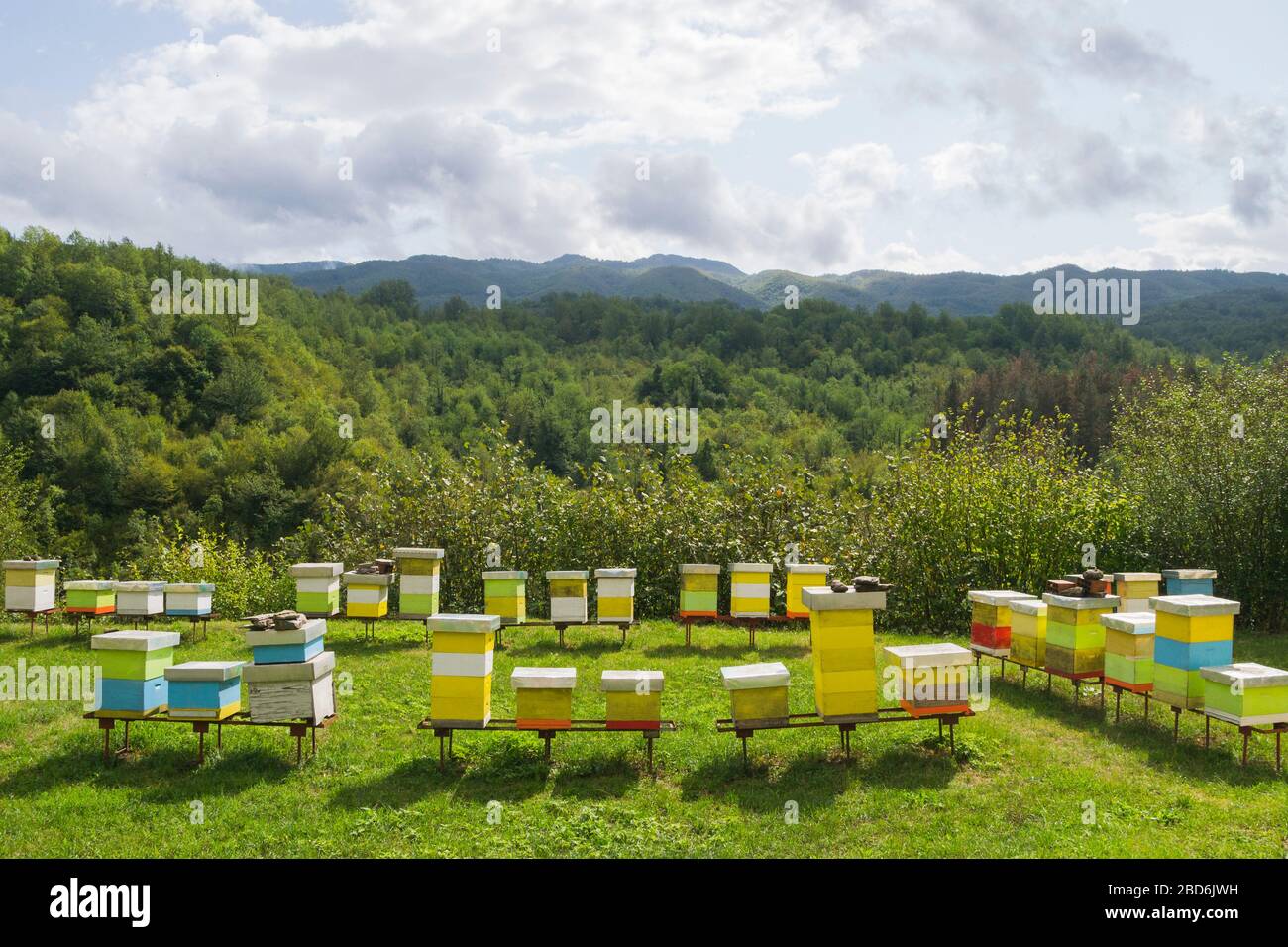 Bee hives in orchard hi-res stock photography and images - Alamy
