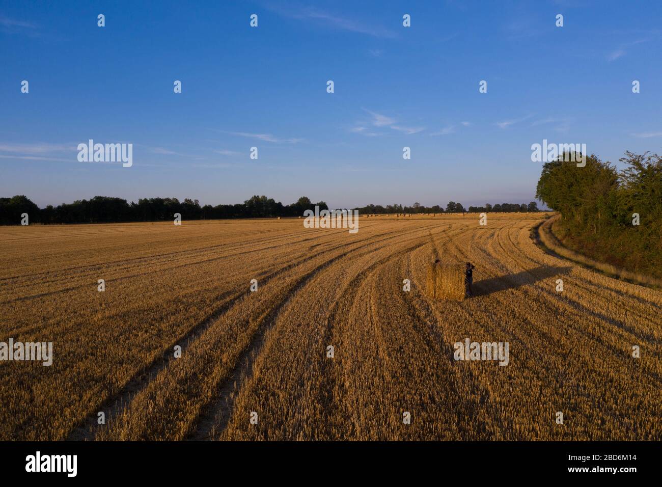 Piencourt, Normandy, France. Aerial view of straw fields with bales in ...