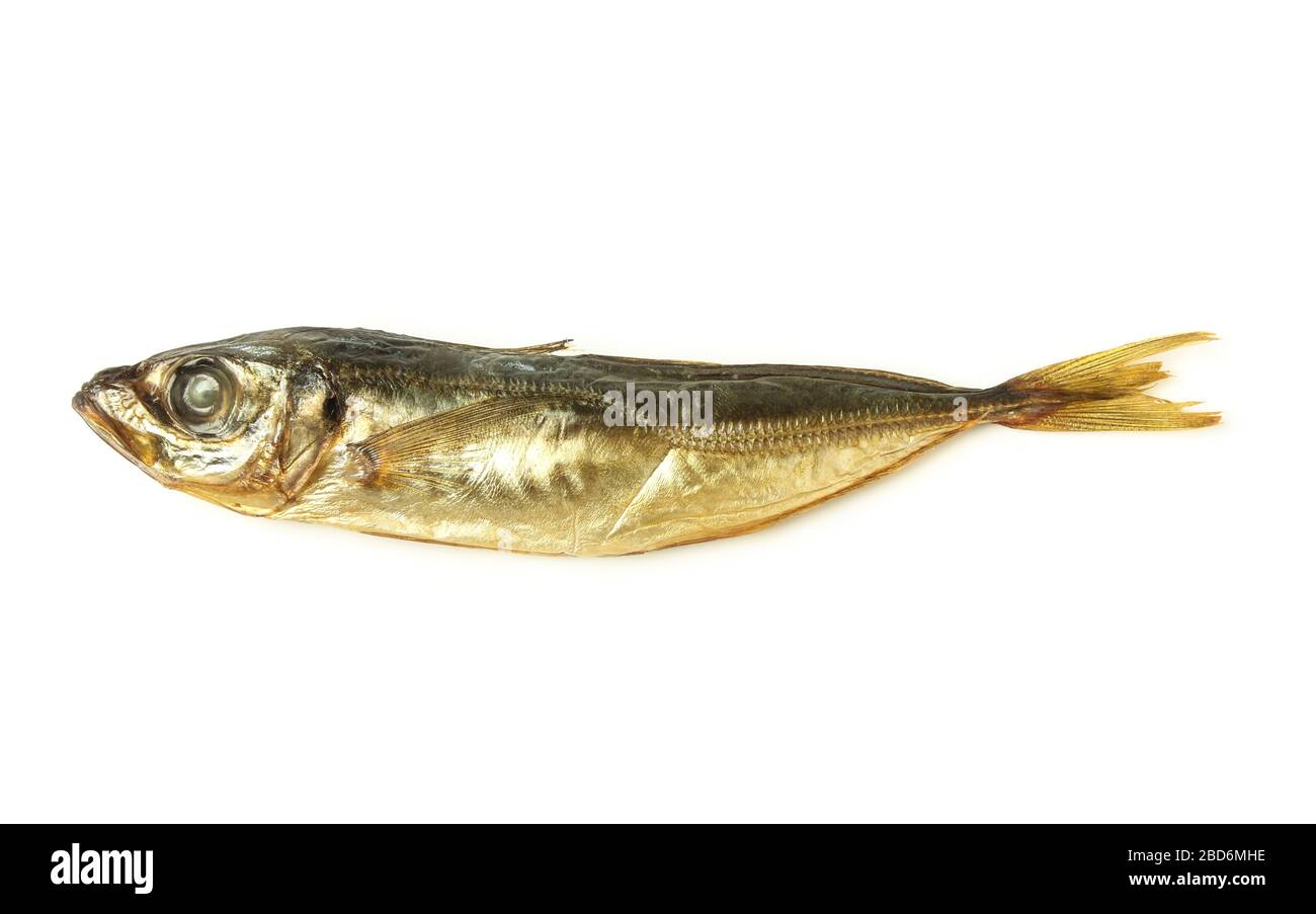 Smoked scad close up isolated on white Stock Photo - Alamy