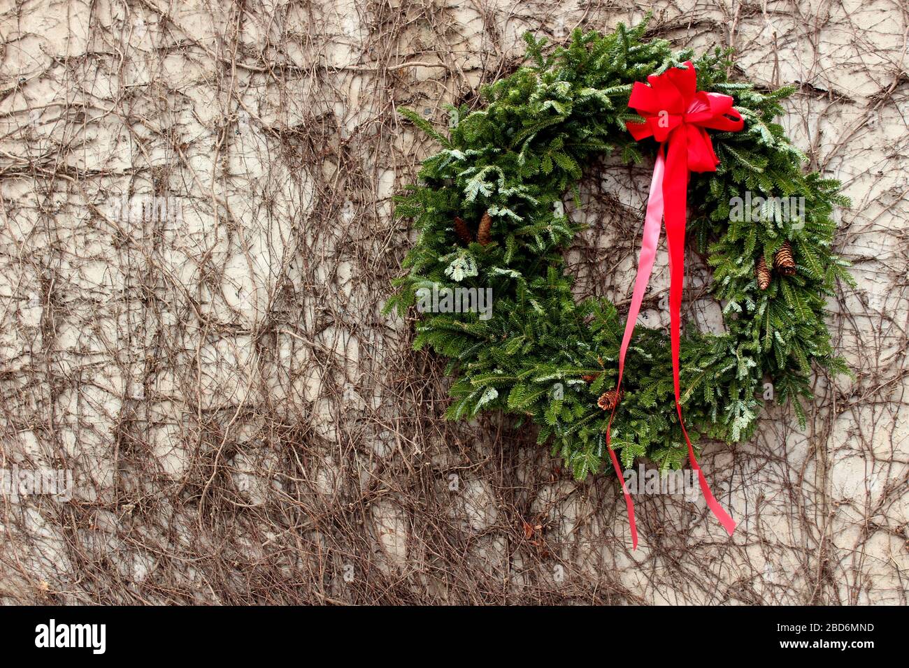 Trailing ribbon hi-res stock photography and images - Alamy