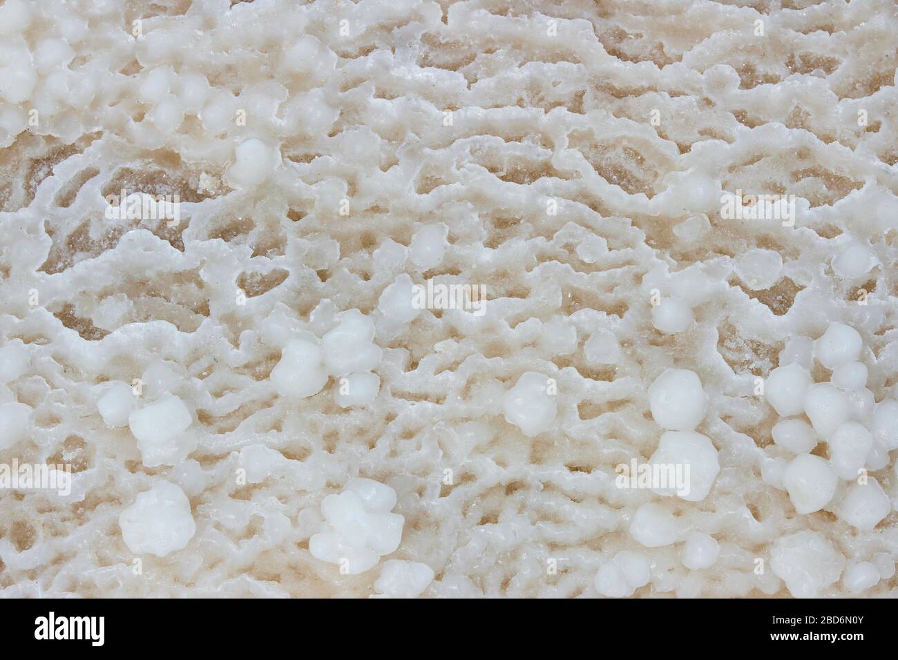Salt crystals on shore of dead sea hi-res stock photography and images ...