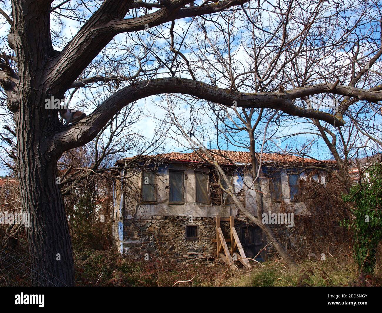 Megali panagia hi-res stock photography and images - Alamy