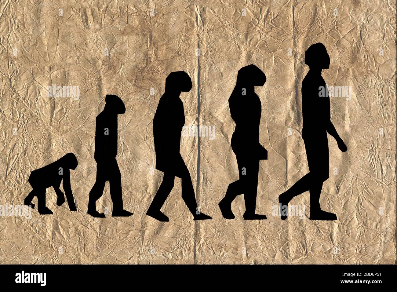 Evolution darwinism theory of man on very old wrinkle paper Stock Photo ...